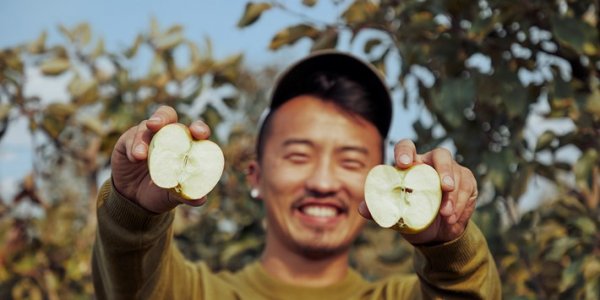 7 WISCONSIN APPLE ORCHARDS WORTH THE PICK THIS FALL - Sunrise Orchards
