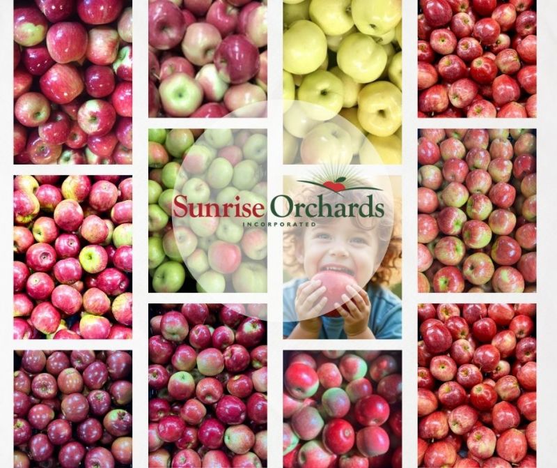 🍎 12 Apple Varieties… Now in Stock! - Sunrise Orchards