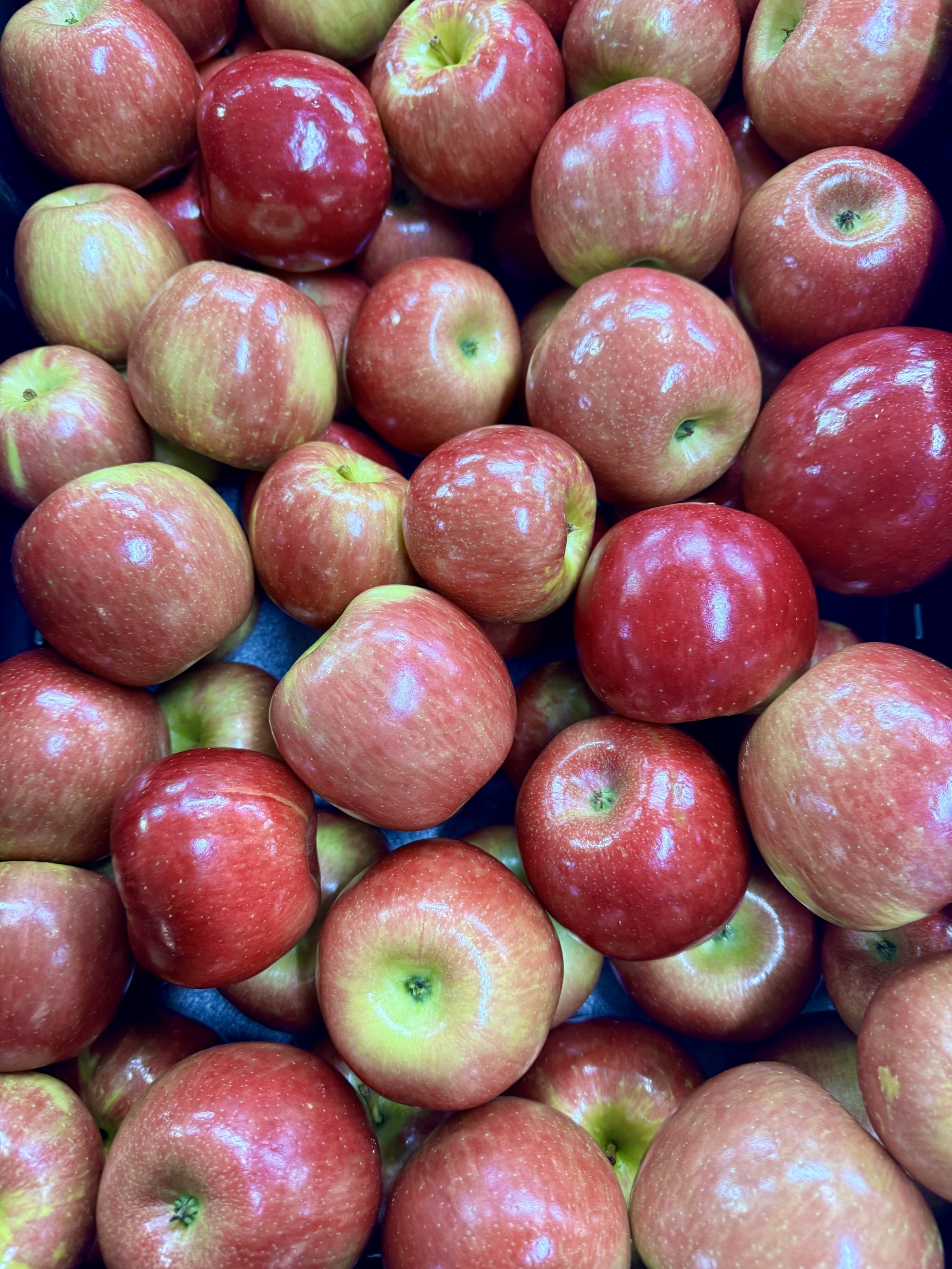 NEW APPLE VARIETY ALERT: Introducing Summerset® Apples!🍎 - Sunrise Orchards